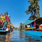 CDMX: Private tour of Xochimilco, Coyoacán, and the Frida Museum - The Practical Side: Logistics and Value