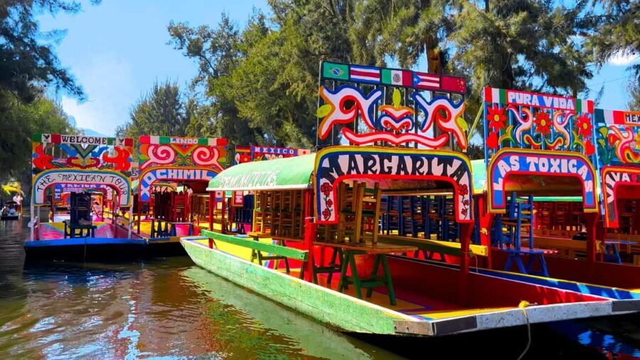 CDMX: Trajinera party in Xochimilco with tacos, music, and drinks - What Makes This Tour Stand Out