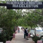 Celestun Biosphere Reserve Tour from Merida - Who Will Love This Tour?