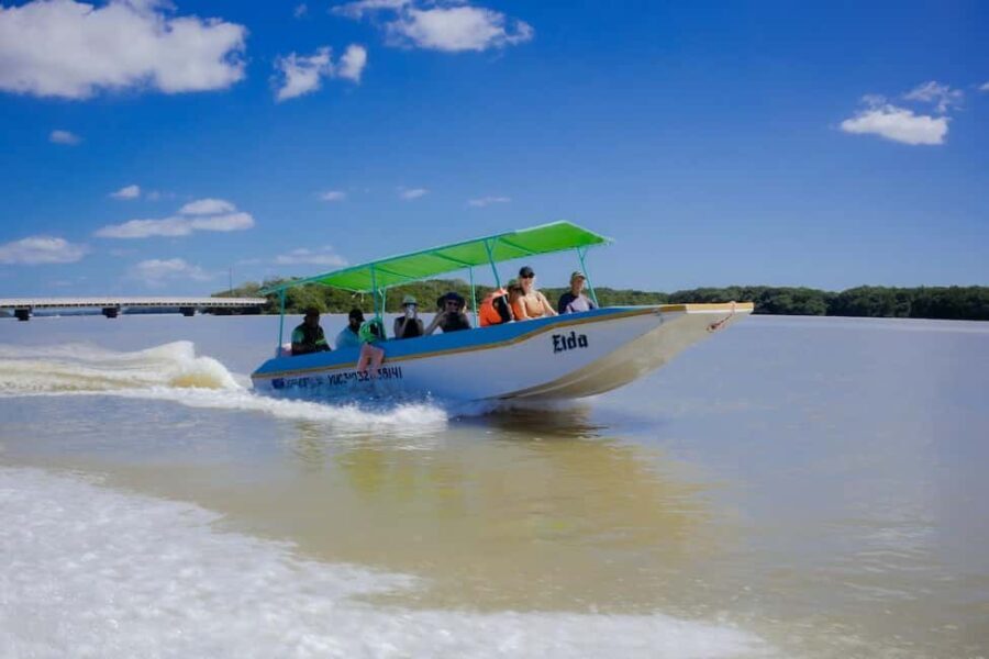 Celestún Flamingos, Beach, and Seafood Tour, leaving from Merida - Final Thoughts