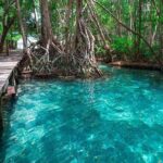 Celestun mangrove boat tour from Mérida - Who Should Consider This Tour?