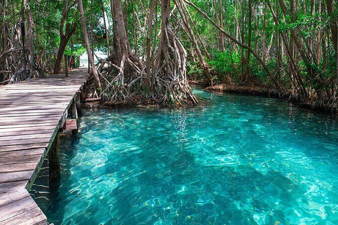 Celestun mangrove boat tour from Mérida - Who Should Consider This Tour?