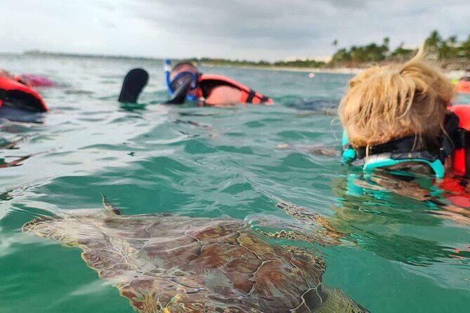 Cenote and Swimming with Turtles Private Tour in Akumal - What Travelers Are Saying