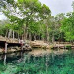 Cenote Cavern Tour and Swim with Sea Turtles in Akumal - Practical Considerations for Travelers