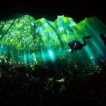 Cenote Diving - 2 Tank Dive Trip for Certified Divers - The Experience in Detail