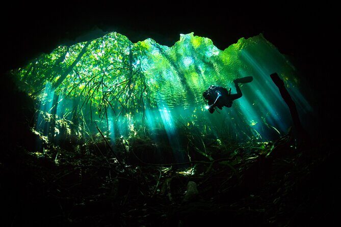 Cenote Diving - 2 Tank Dive Trip for Certified Divers - The Experience in Detail