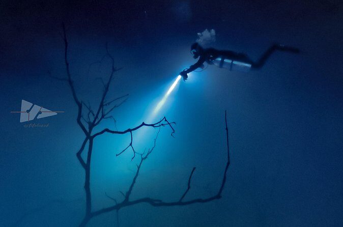 Cenote El Pit and Dos Ojos Dive Trip - Who Should Book This Tour?