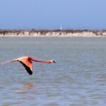 Cenote Suytun & Rio Lagartos & Las Coloradas - Practical Details and Value