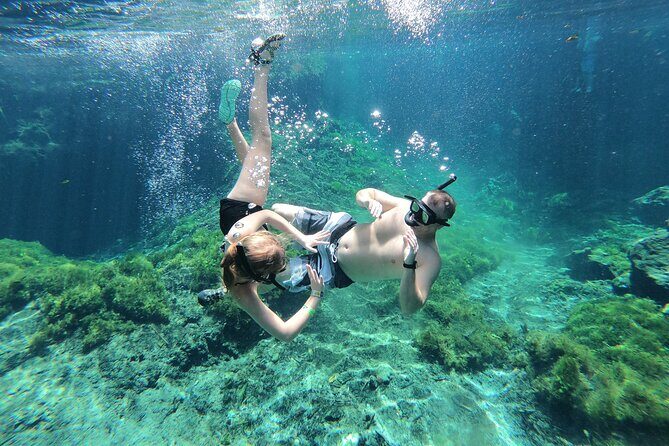 Cenotes by Bike and Mayan Cooking Class Half-Day Guided Tour - The Itinerary Breakdown