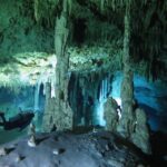 Cenotes diving Dos Ojos and The Bat Cave - Why This Tour Offers Real Value