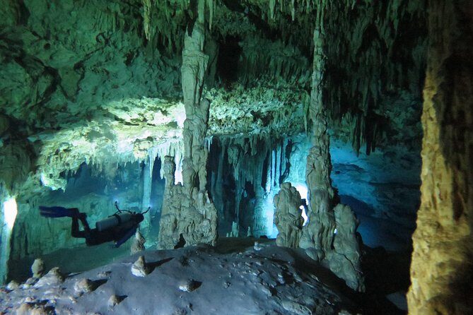 Cenotes diving Dos Ojos and The Bat Cave - Why This Tour Offers Real Value