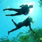 Cenotes Private Tour VIP - Authentic Reviews and Insights