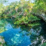 Cenotes Taak Bi Ha & Nicte Ha  VIP Snorkeling Private Tour - Why This Tour Offers Great Value