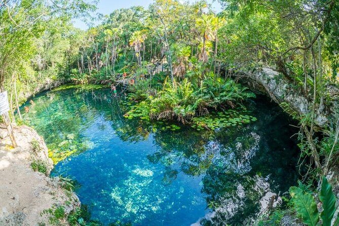 Cenotes Taak Bi Ha & Nicte Ha  VIP Snorkeling Private Tour - Why This Tour Offers Great Value