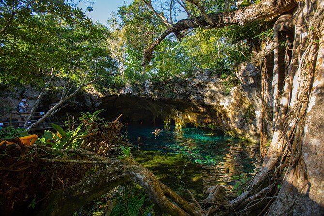 Cenotes trail jungle bike tour in Tulum with lunch - Practical Details and Tips