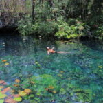 CENOTES TULUM/AKUMAL: 4 Cenotes in Mayan community and snorkeling with turtles - Who Will Love This Tour?