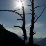 Centennial Ridge - Canadian Rockies Summit Series - Practical Details and What to Keep in Mind