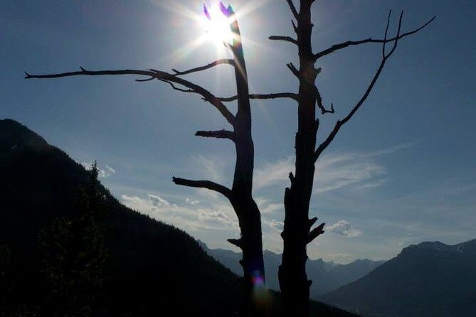 Centennial Ridge - Canadian Rockies Summit Series - Practical Details and What to Keep in Mind