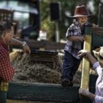 Central Florida Haunted Hayride - Authentic Reviews and Experiences