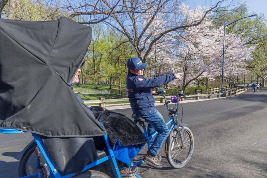 Central Park Pedicab Tour + Optional Natural History Access - What’s Included and How It Works