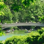 Central Park Pedicab Tour with Top of the Rock Access - Who Is This Tour Best For?
