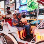 Central Park, Rockefeller & Times Carriage Ride (4 Adults) - Who Is This Tour Perfect For?