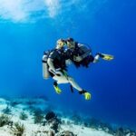 Certified Diving 2 Tanks in Cozumel - What’s Included and What’s Not