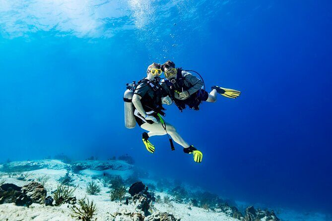 Certified Diving 2 Tanks in Cozumel - What’s Included and What’s Not