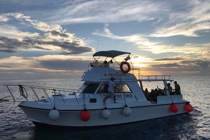 Certified Diving Experience in Cozumel - Authentic Marine Encounters and Real Reviews