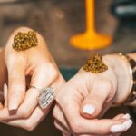 Champagne and Caviar Tasting with Experts - The Sum Up: Who Is This Tour Best For?