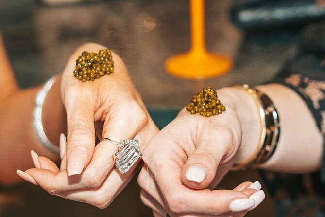 Champagne and Caviar Tasting with Experts - The Sum Up: Who Is This Tour Best For?