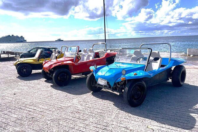 Chankanaab Park and Island Tour by Buggy with Mexican Lunch - El Mirador: Panoramic Caribbean Views