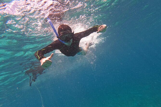Chankanaab Park entrance ticket with snorkeling and buffet included - The Value and Who Will Love This Tour