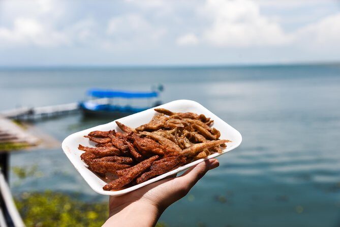 Chapala Ajijic Area Tour from Guadalajara - What the Reviews Say