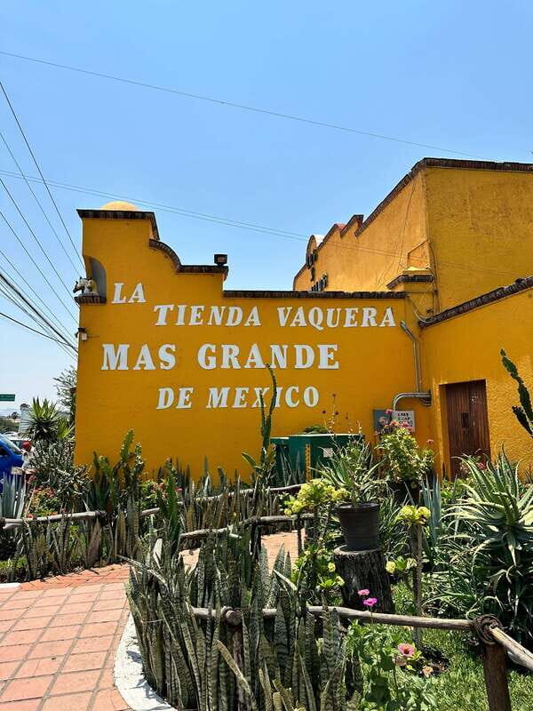 Chapala and Ajijic Tour from Guadalajara with 3 Potrillos - Practical Details and Value