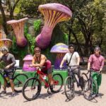 Chapultepec Castle or Anthropology Museum bike tour - What the Reviews Say