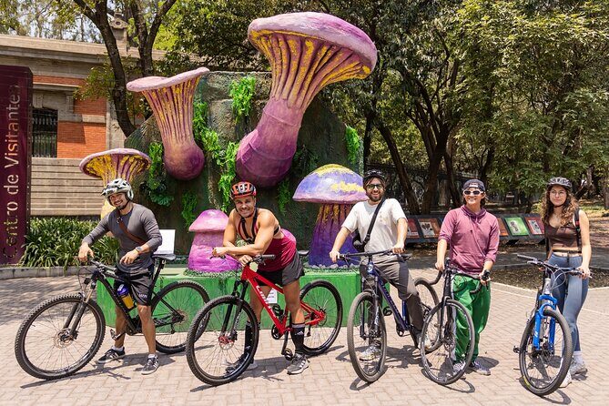 Chapultepec Castle or Anthropology Museum bike tour - What the Reviews Say