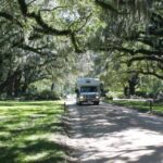 Charleston: Boone Hall Plantation Entry & Tour w/ Transport - What Does the Tour Include and What to Keep in Mind?