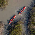 Charleston: Folly Beach Afternoon Kayak Dolphin Safari - Who Will Love This Tour?