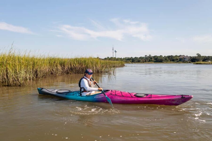 Charleston: Folly Beach Morning Kayak Dolphin Safari - Why This Tour Offers Good Value