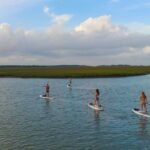 Charleston: Folly Beach Stand Up Paddleboard 2-hour Rental - The Sum Up: Who Should Consider This Experience?