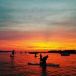 Charleston: Folly Beach Stand Up Paddleboard Dolphin Safari - What Makes This Tour Special?