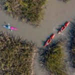 Charleston: Folly River Sunset Kayak Dolphin Safari - The Experience in Detail