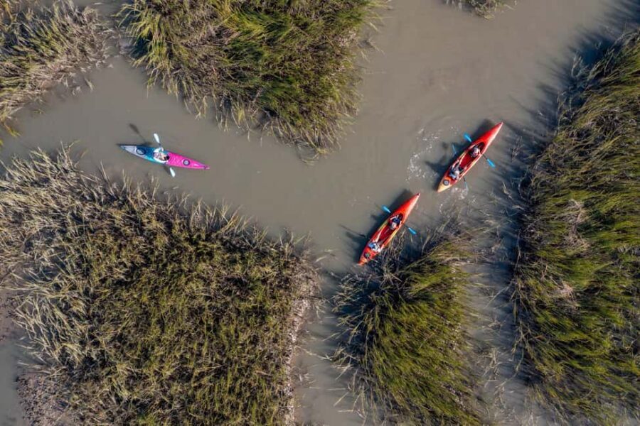Charleston: Folly River Sunset Kayak Dolphin Safari - The Experience in Detail