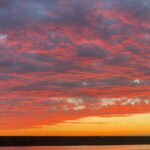 Charleston: Harbor Bar Pedal Boat Party Cruise - Who Should Consider This Tour?