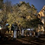Charleston: Haunted History Tour - Learn to see a Ghost - Why This Tour Works for Travelers