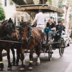 Charleston: Haunted Horse-Drawn Carriage Evening Tour - Why Charleston’s Haunted Carriage Rides Are Special
