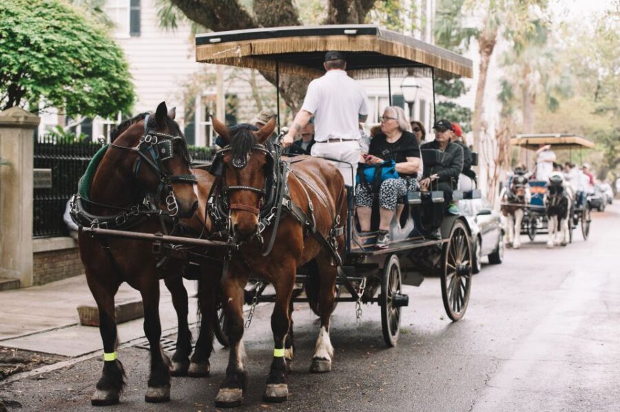 Charleston: Haunted Horse-Drawn Carriage Evening Tour - Why Charleston’s Haunted Carriage Rides Are Special