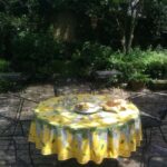 Charleston: Historic Walking Tour with a Local Guide - Practical Details and Value