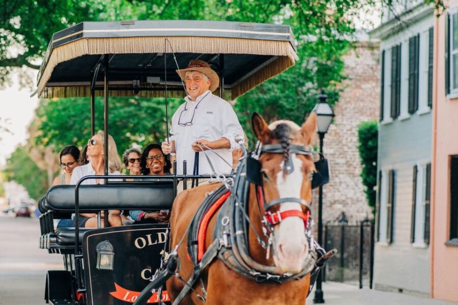 Charleston: Historical Downtown Tour by Horse-drawn Carriage - Who Should Consider This Tour?